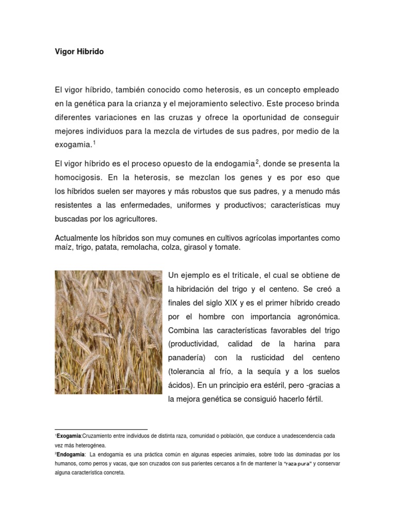 Vigor Híbrido: Definición y Aplicaciones | PDF | Mula | Híbrido (biología)