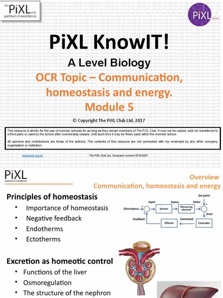 Ocr Biology Communication Homeostasis and Energy Knowit A Level | PDF