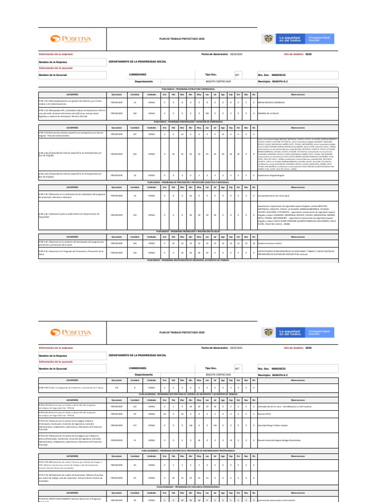 DPS en Medicina: Plan de Trabajo 2020 | PDF | Salud y bienestar | Medicina
