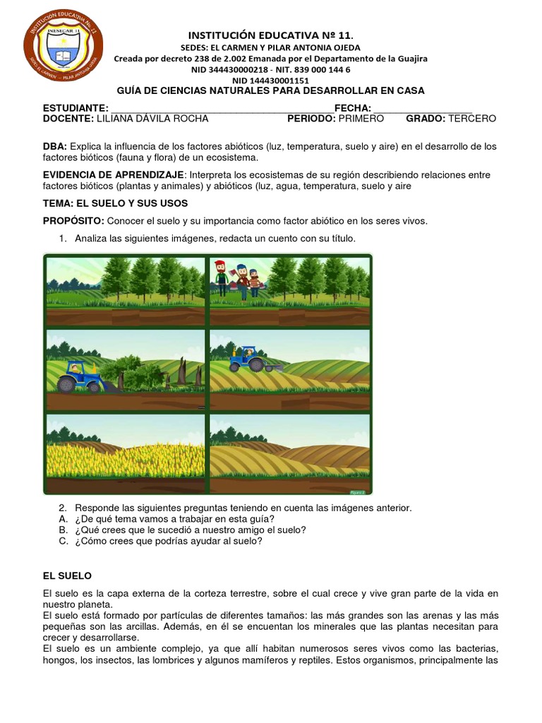 Ciencias Naturales | PDF | Respiración | Suelo