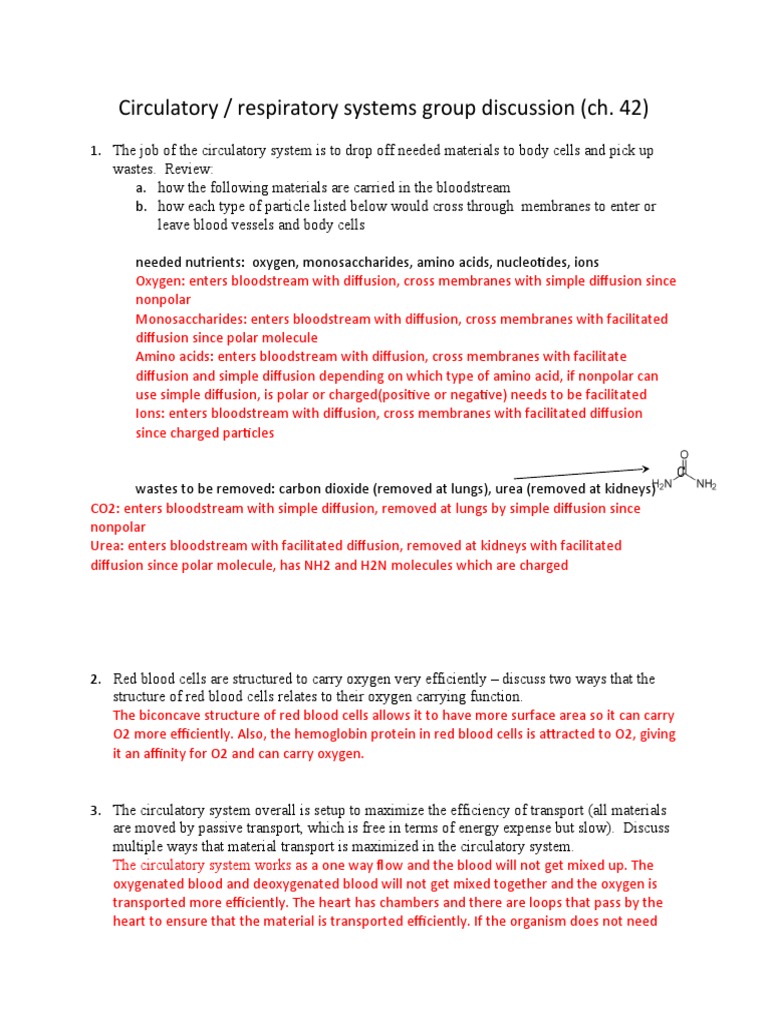 Circulatory System | PDF | Circulatory System | Blood