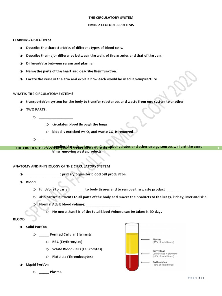 The Circulatory System Pmls 2 Lecture 3 Prelims | PDF | Circulatory ...