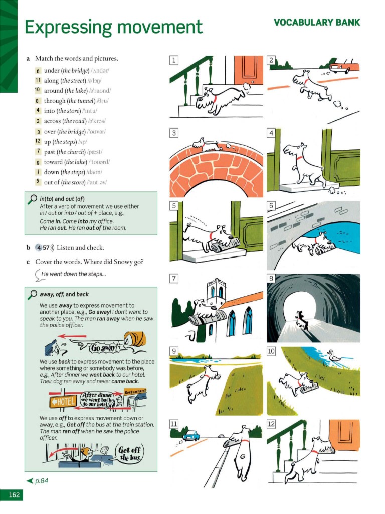 Expressing Movement | PDF | Business | Nature