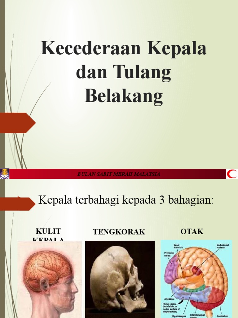 Kecederaan Kepala Tulang Belakang | PDF