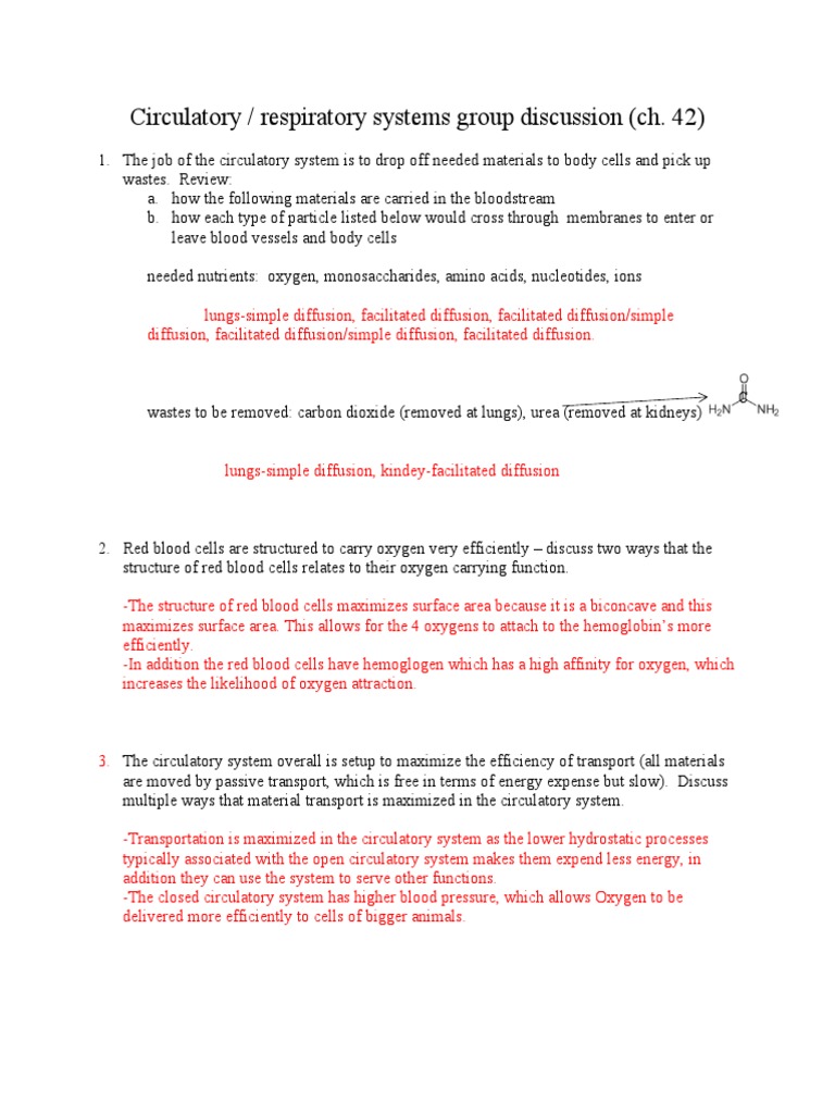 Circulatory System | PDF | Circulatory System | Blood