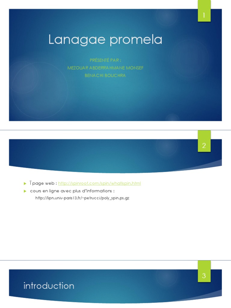 Introduction au langage Promela | PDF | Langage de programmation ...