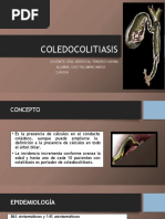 Protocolo Coledocolitiasis 1208258857789208 9 | PDF | Enfermedades ...