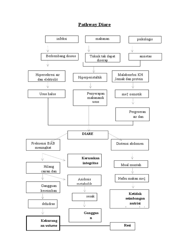 Pathway Diare DAN Anamnesa | PDF