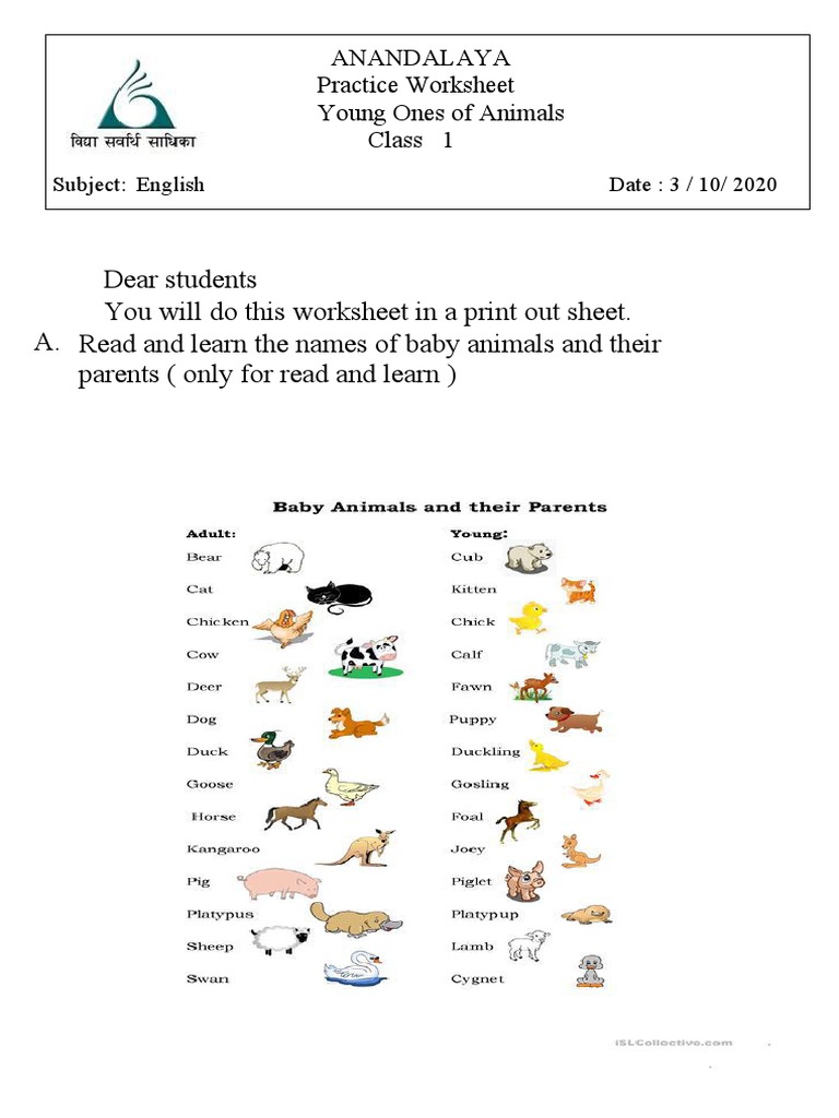 1-Eng-Ks-3-10-2020-Young Ones of Animals PDF | PDF