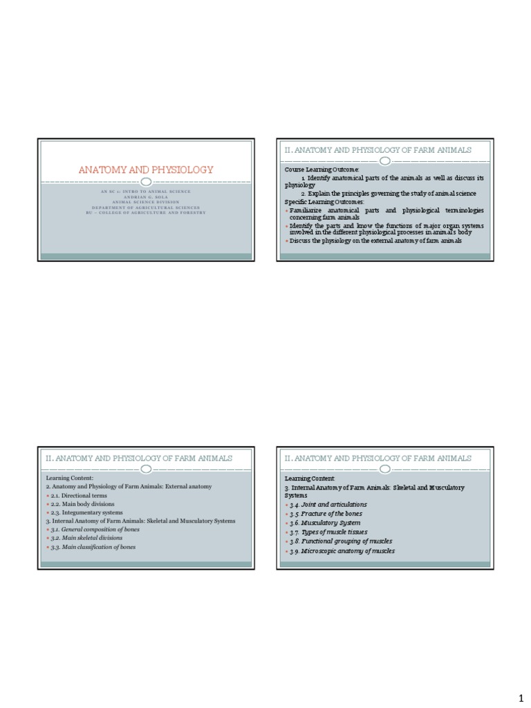 Chapter One (Ansci) | PDF | Anatomical Terms Of Location | Skin