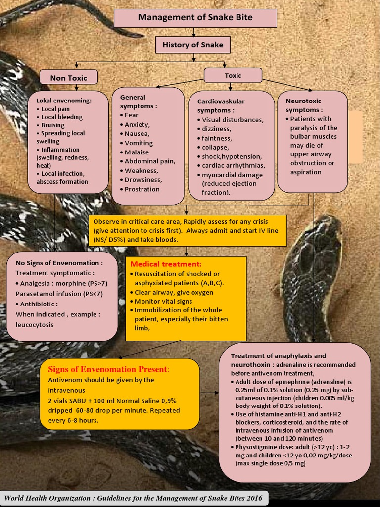 Management of Snake Bite | PDF | Intravenous Therapy | Shock (Circulatory)