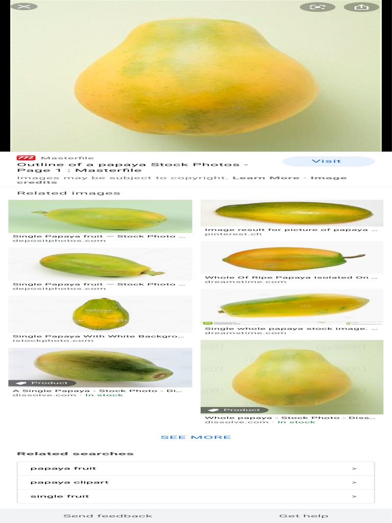 Whole Papaya - Google Search | PDF