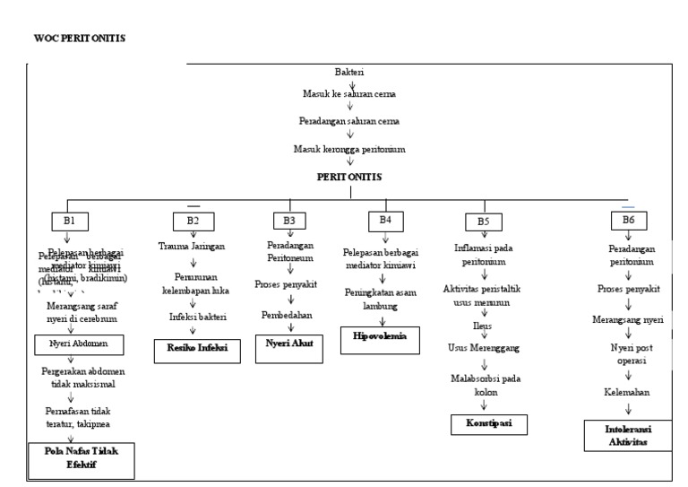 Woc Peritonitis Agustin | PDF