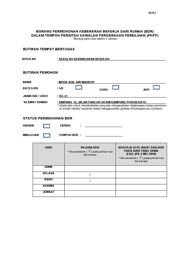 Borang Permohonan BDR | PDF