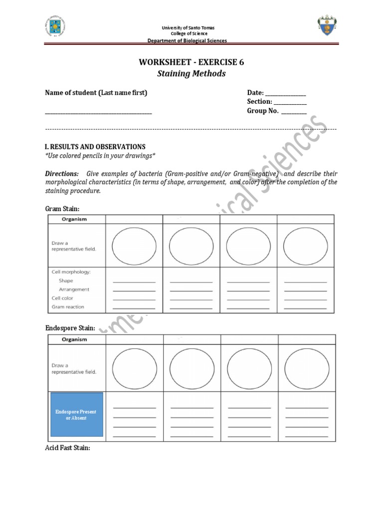 Module 6 Worksheet-Updated | PDF | Staining | Bacteria