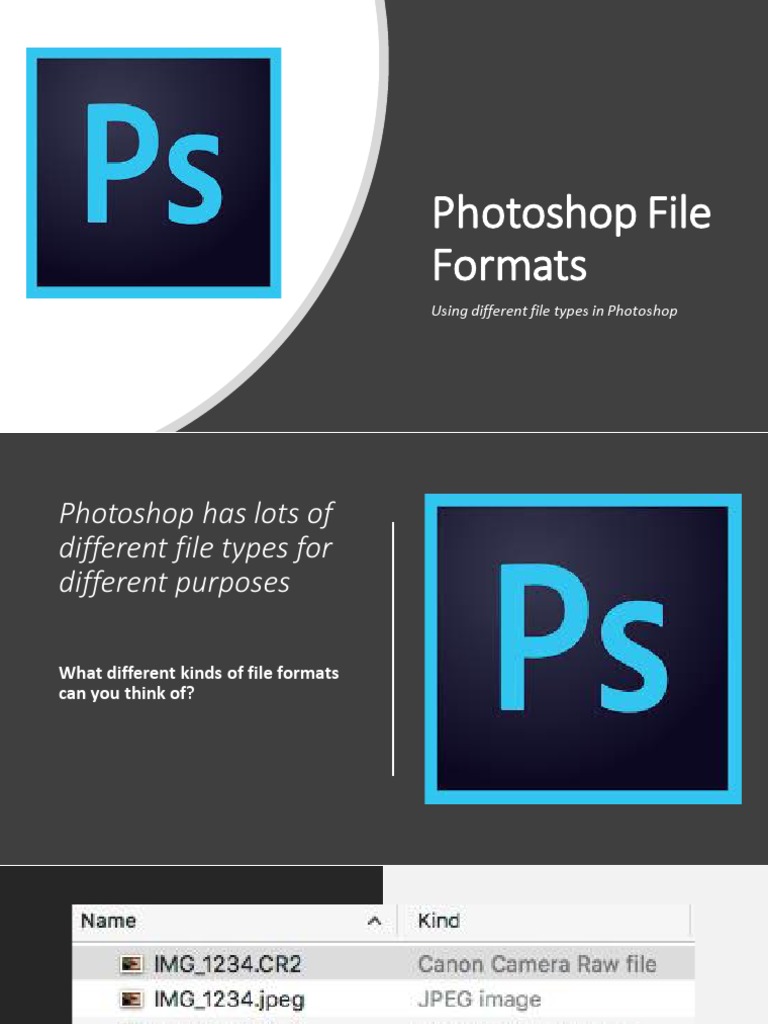 File Formats Copy 1 | PDF