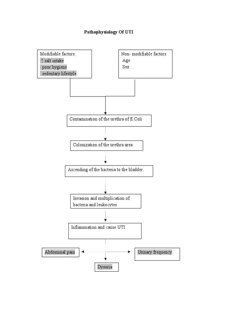 242166588-Pathophysiology-of-UTI.docx