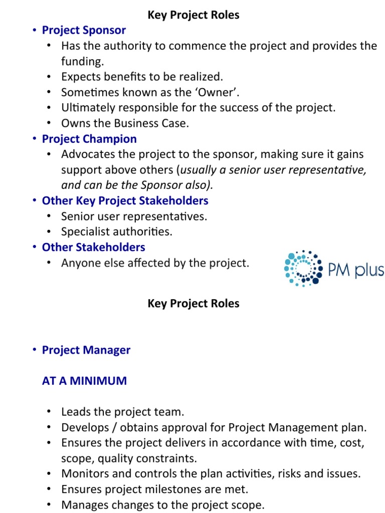Key Roles in Project Management | PDF