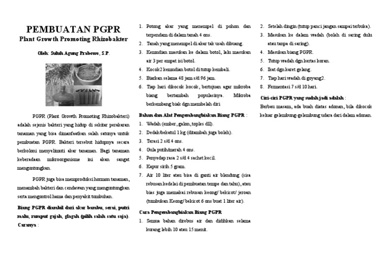 Pembuatan PGPR | PDF