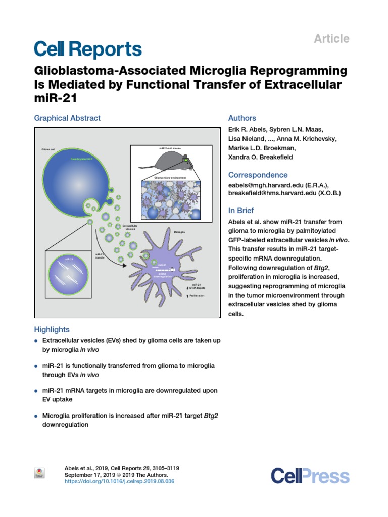 Glioblastoma-Associated Microglia Reprogramming Is Mediated by ...