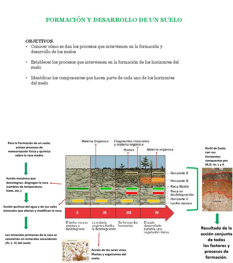Procesos en la Formación del Suelo | PDF