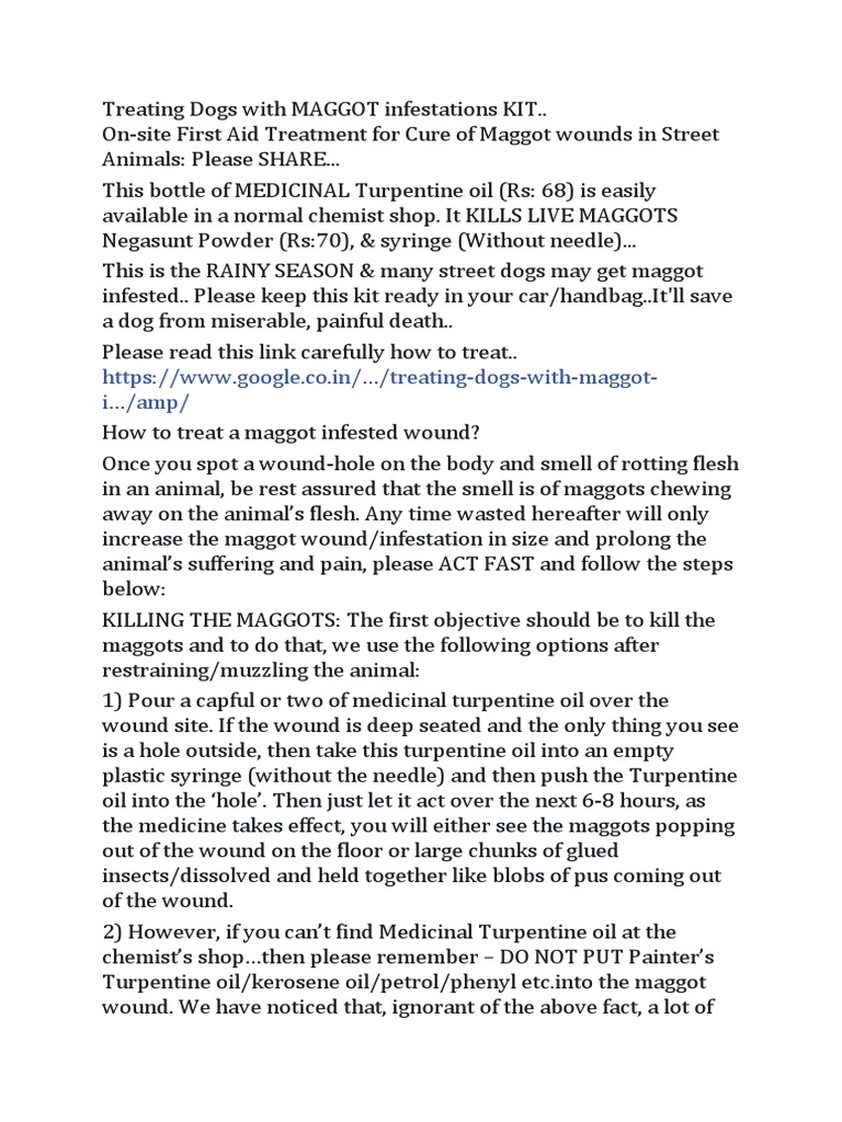 Treating Dogs With MAGGOT Infestations KIT | PDF | Wound | Nature