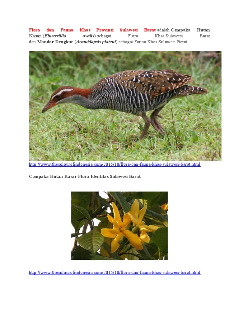 Flora Dan Fauna Khas Provinsi Sulawesi Barat | PDF