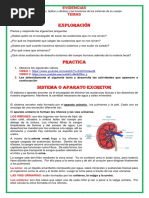 Triptico Del Sistema Excretor | PDF | Sistema urinario | Riñón