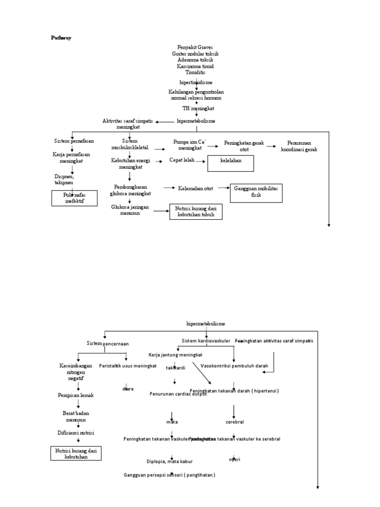 Pathway Hipertiroid | PDF