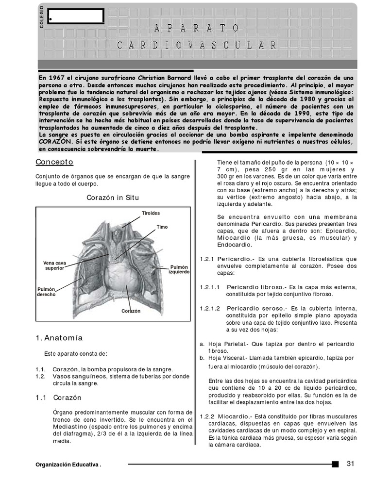 Concepto: Corazón in Situ | PDF | Corazón | Sistema circulatorio