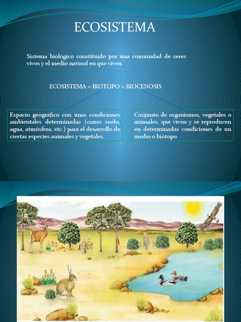 Ecosistemas Terrestres | PDF | Ecosistema | Selva