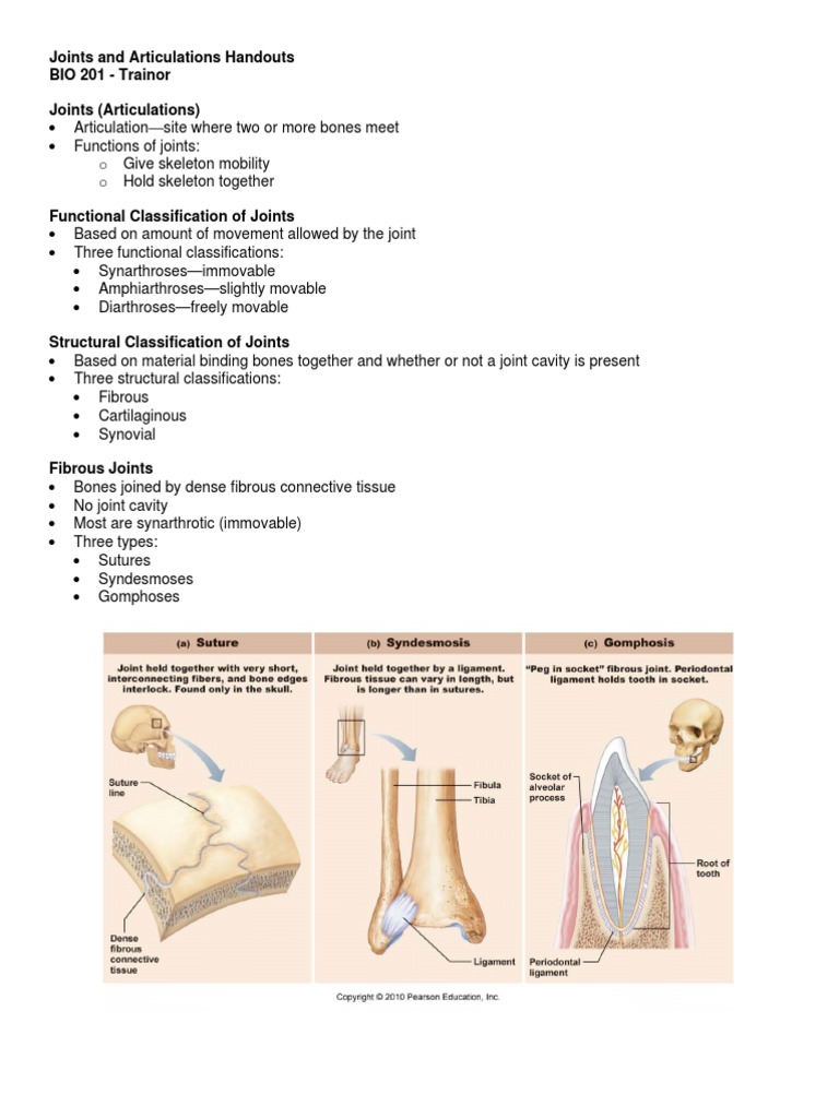 Joints and Articulations Handouts | Anatomical Terms Of Motion | Joint