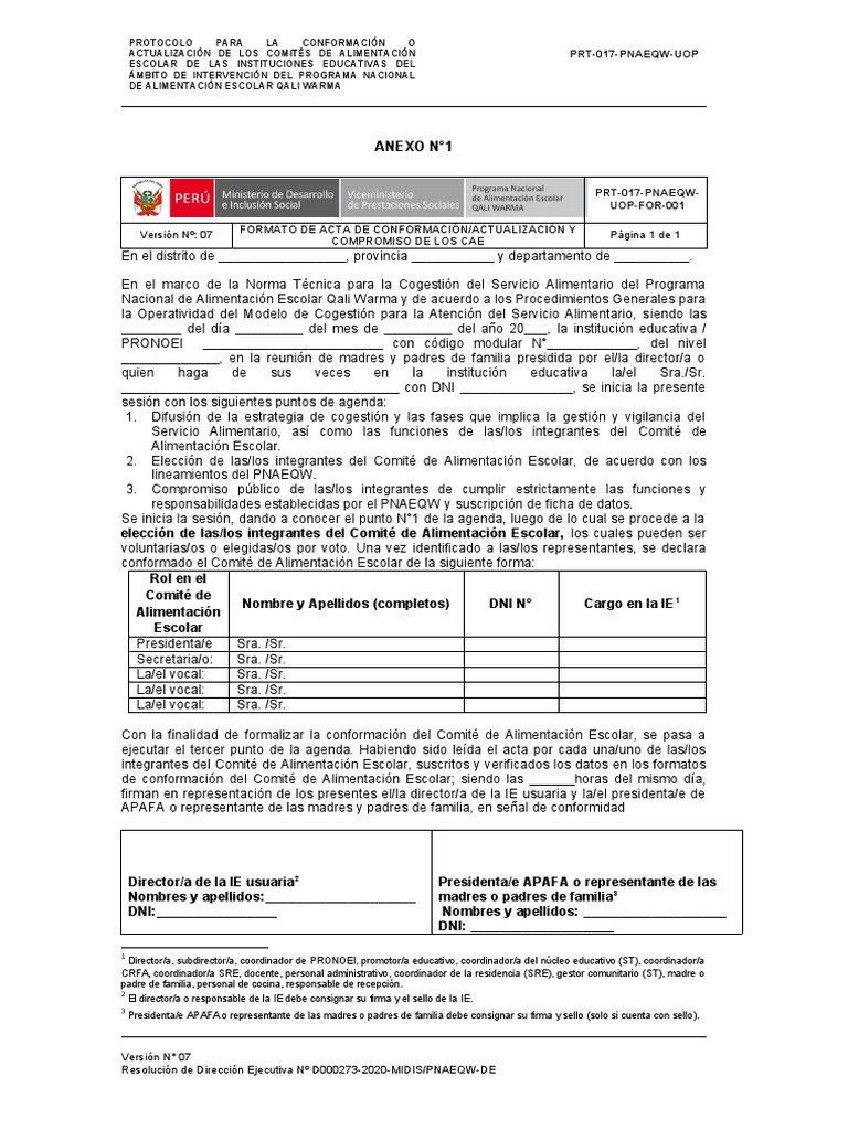 Protocolo Cae Anexos Editables | PDF | Privacidad de la información | Idiomas