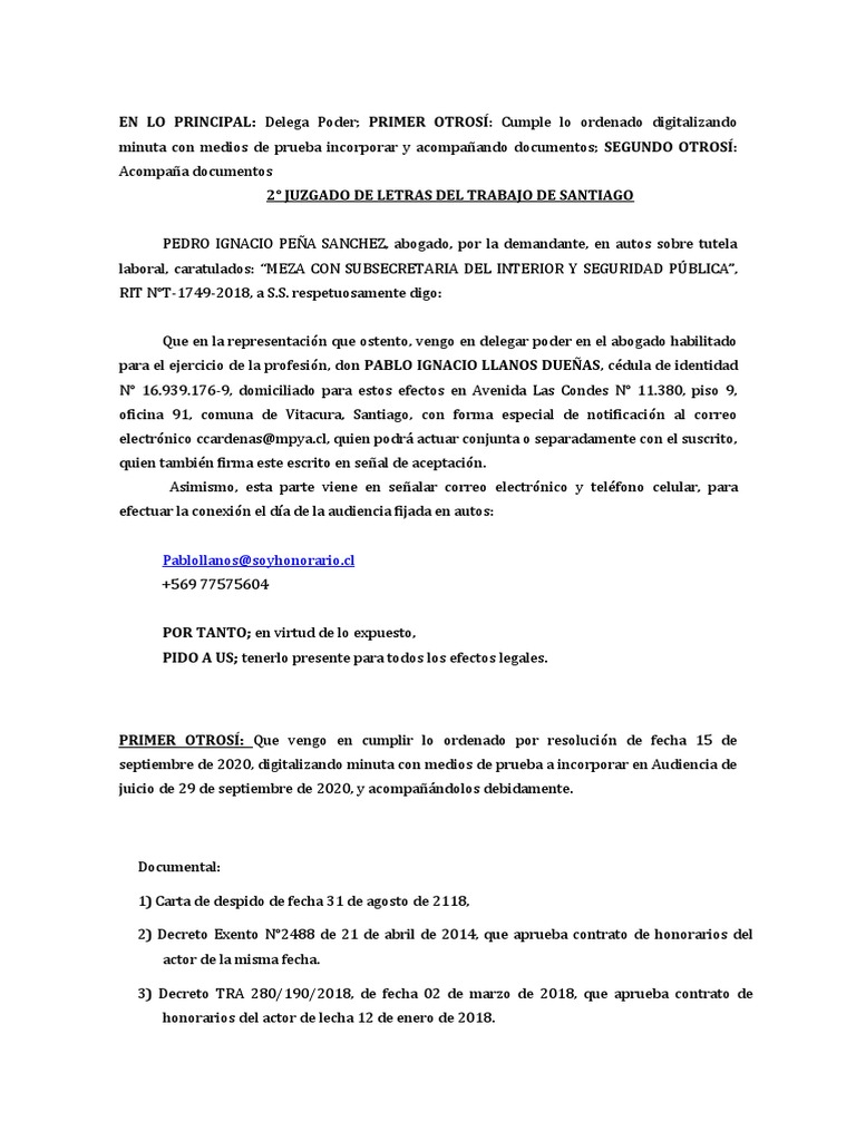 Modelo Escrito Delega Poder | PDF | Gobierno