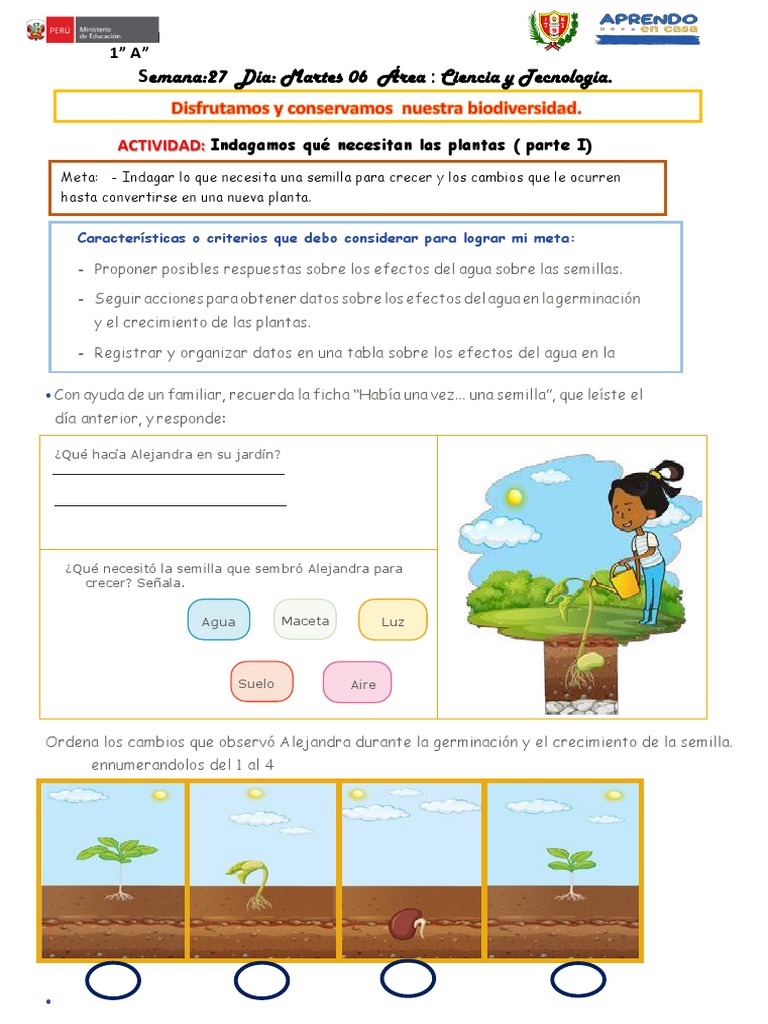 Indagamos Qué Necesitan Las Plantas | PDF | Germinación