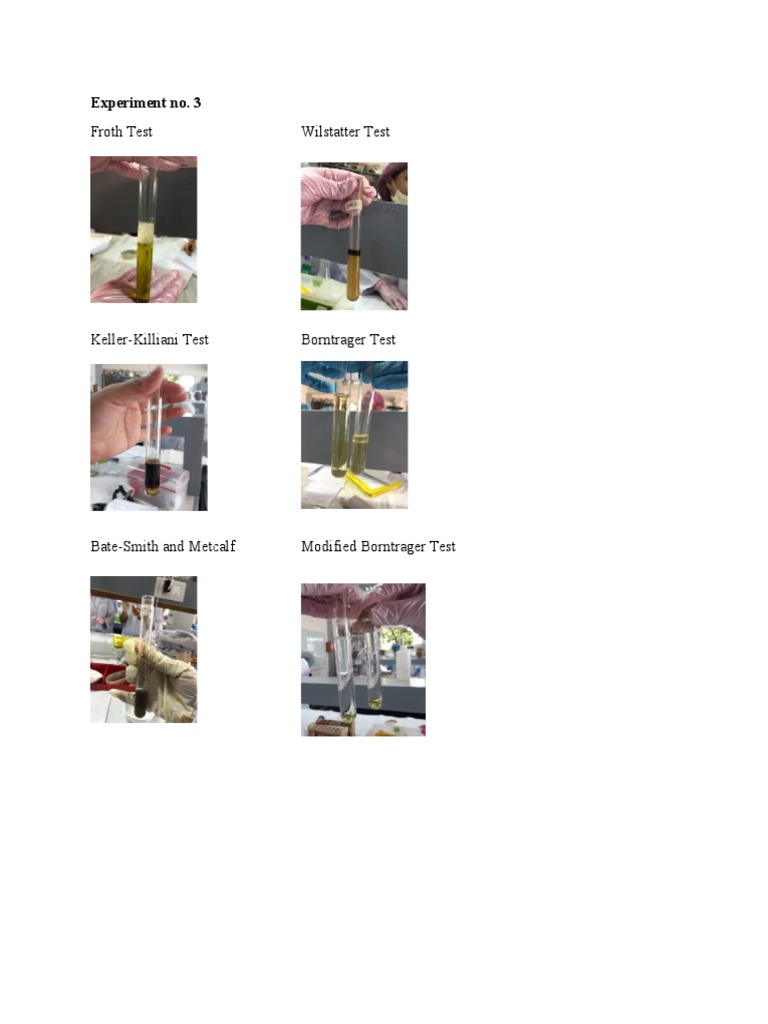 Froth Test Wilstatter Test: Experiment No. 3 | PDF