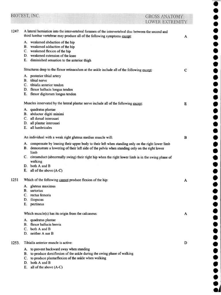 4 - Anatomy MCQs Upper Limb | PDF | Human Leg | Musculoskeletal System