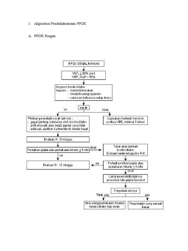 Pedoman Lengkap untuk Klasifikasi dan Penanganan Pasien PPOK ...