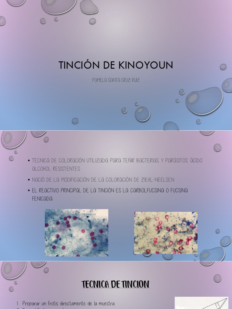 Tinción de Kinyoun PDF | PDF