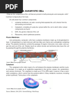 Cytoplasm Mitochondrion Nucleolus Nucleus Organ Tissue Vacuole Cell ...