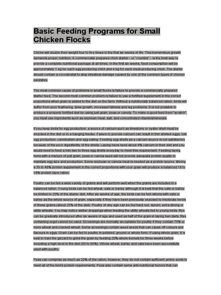 Basic Feeding Programs For Small Chicken Flocks | PDF | Chicken | Egg ...
