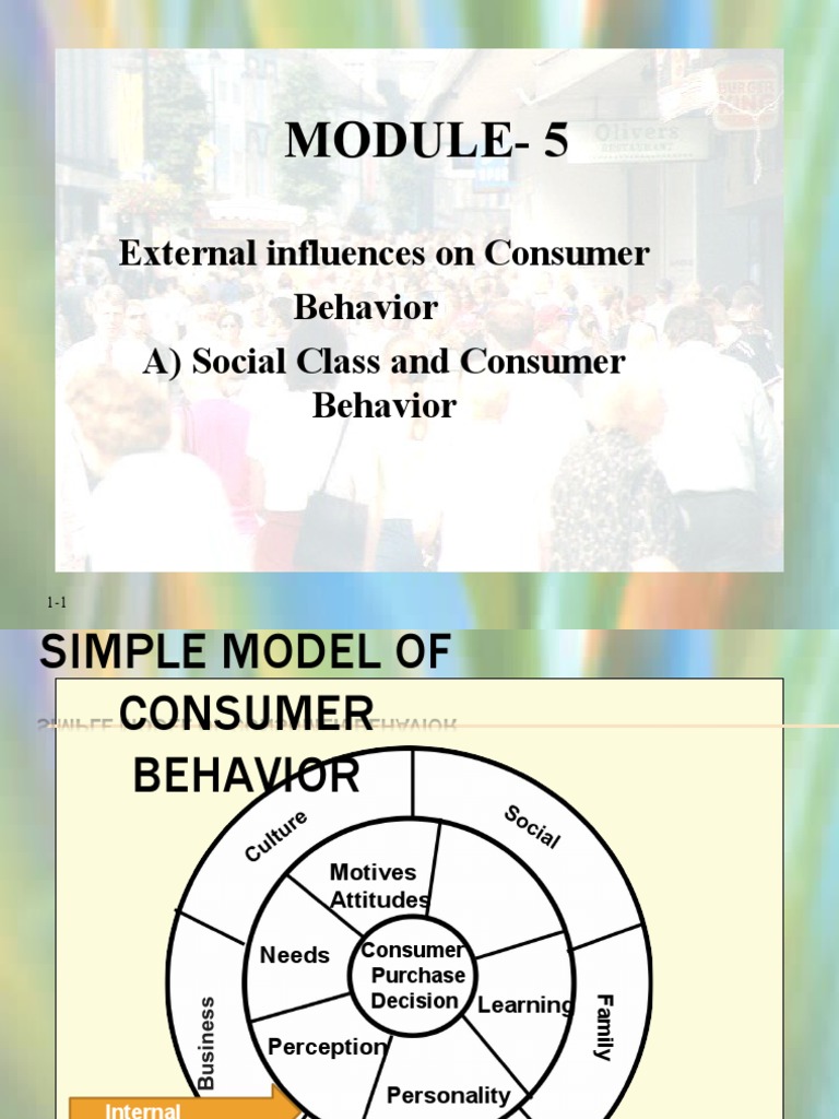 Module-5: External Influences On Consumer Behavior A) Social Class and Consumer Behavior | PDF ...