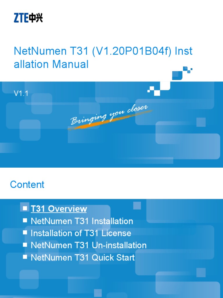 3 - NetNumen T31 (V1.20P01B04f) Installation Manual | PDF | Server (Computing) | Graphical User ...