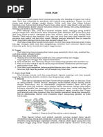 Morfologi dan Struktur Tubuh Ikan | PDF