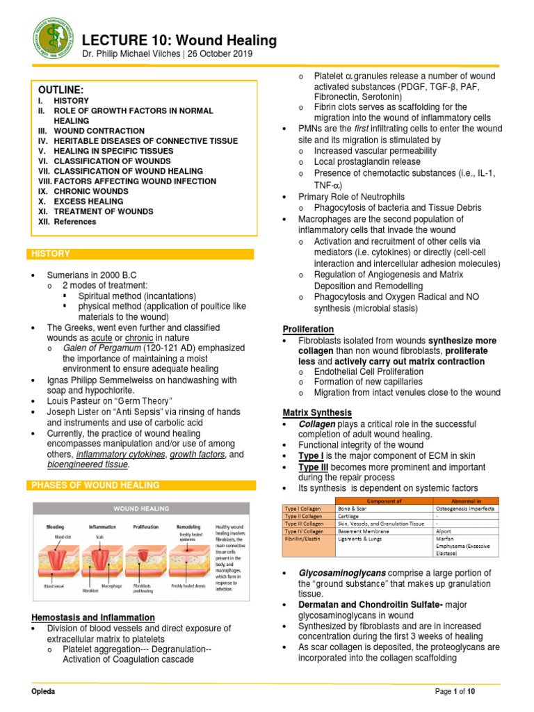 Lecture 10 Wound Healing | PDF | Wound Healing | Extracellular Matrix