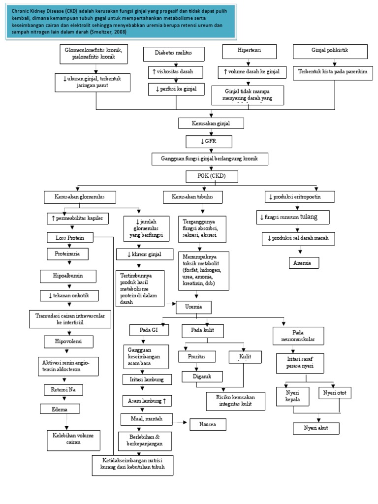 Konsep Map CKD | PDF