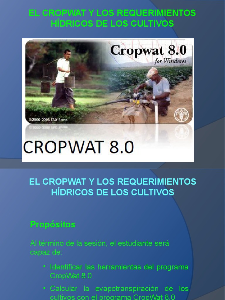 CropWat 8.0: Requerimientos Hídricos | PDF | Evapotranspiración | Riego