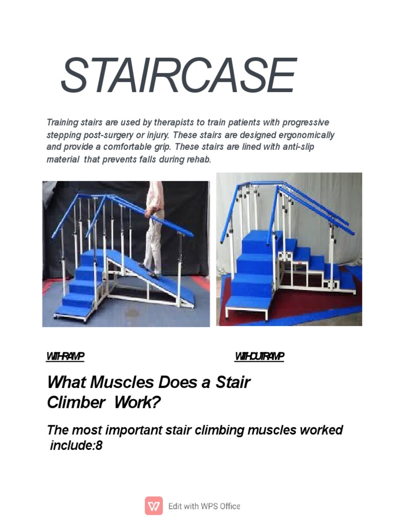 Staircase: What Muscles Does A Stair Climber Work? | PDF | Wellness