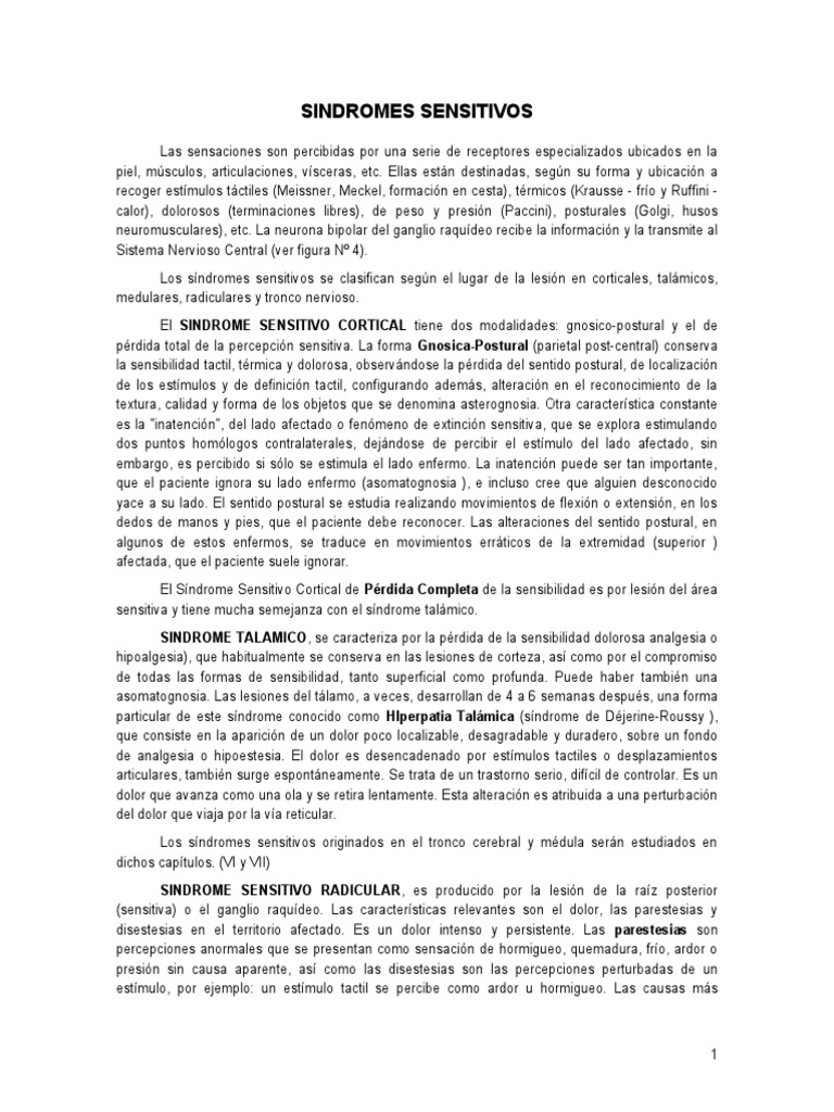 Sindromes Sensitivos y Medulares | PDF | Médula espinal | Dolor