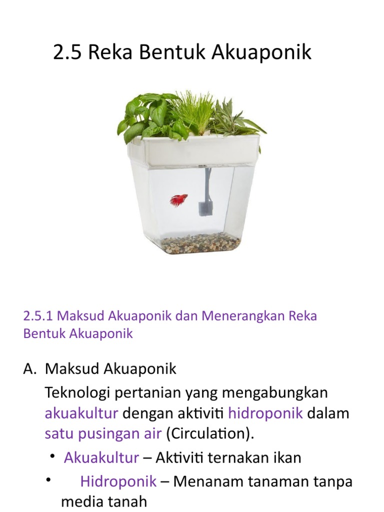 Reka Bentuk Akuaponik | PDF